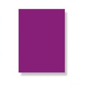 Buy Now Color Chart Paper Hard Single Piece