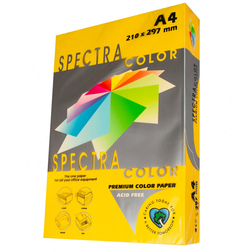 Color Paper # 140 Spectra Rose Buy Online Pakistan