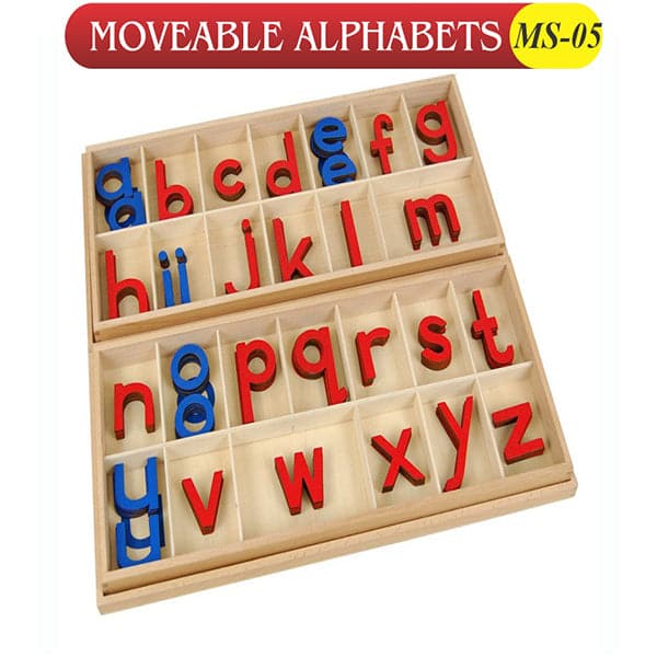 Buy Now Wooden Movable Alphabet with Box for Kids